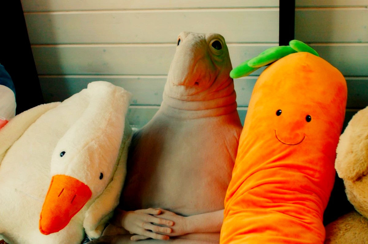 Космическая премьера: смотрите в кино семейную комедию «Ждун» – Новости ...